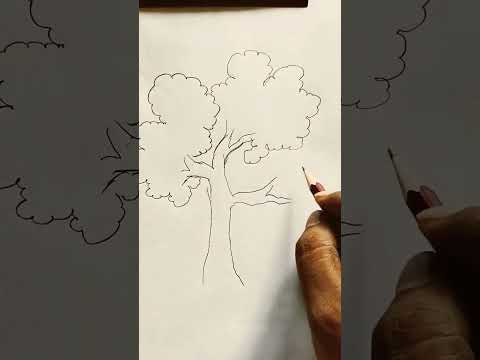 Simple Tree Drawing