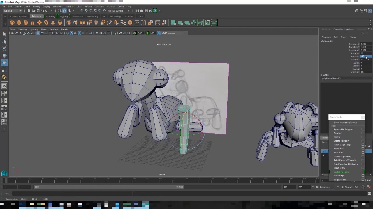 3D Mantis Modeling Timelapse