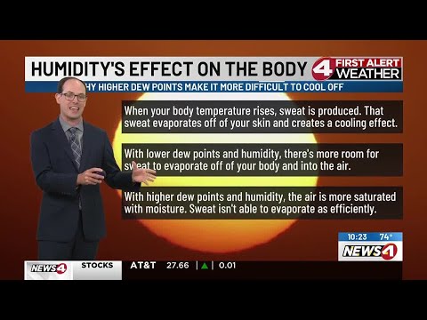 News4 First Alert Weather Extra: Humidity 🤝 Sweat