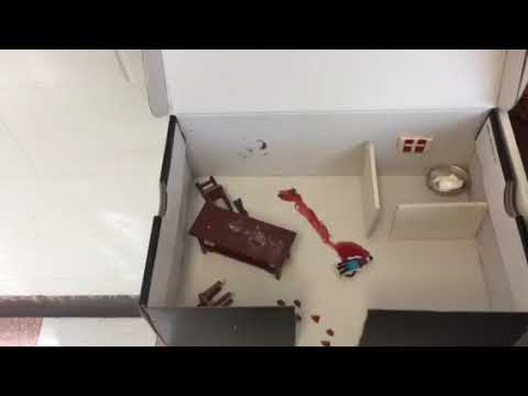 Shoebox Crime Scene