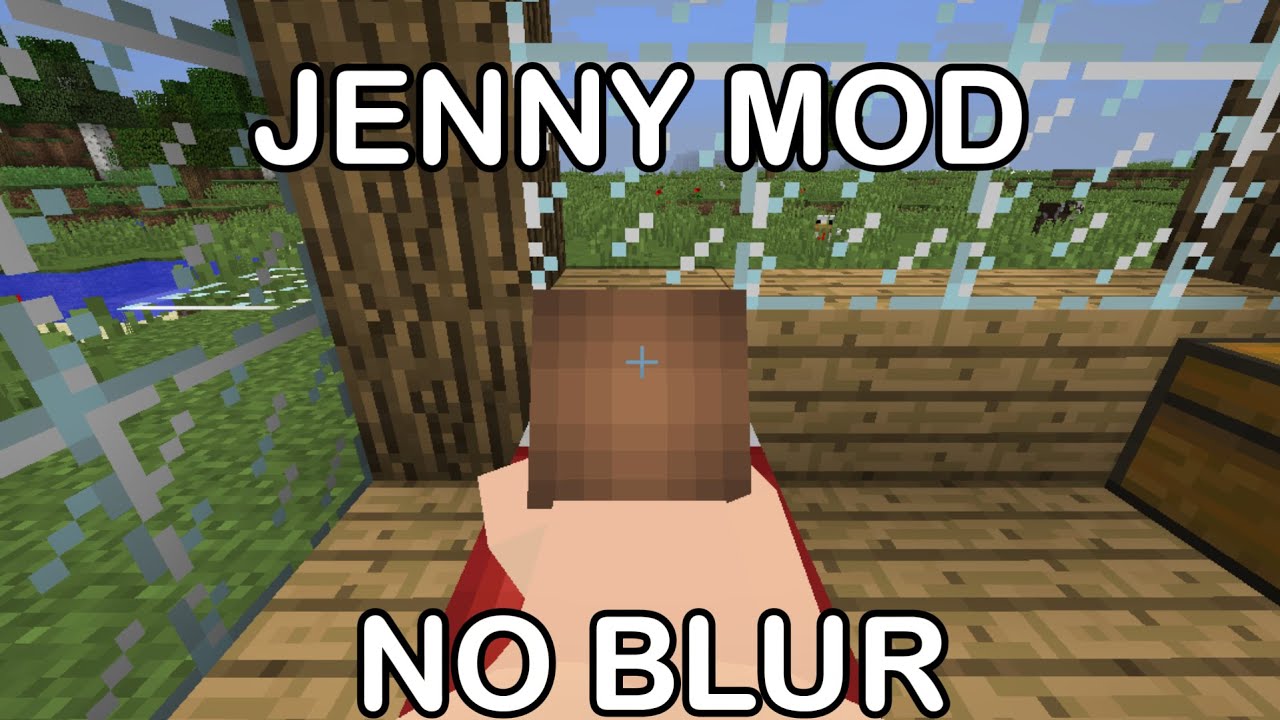 I Tried the Jenny Mod (Gameplay)