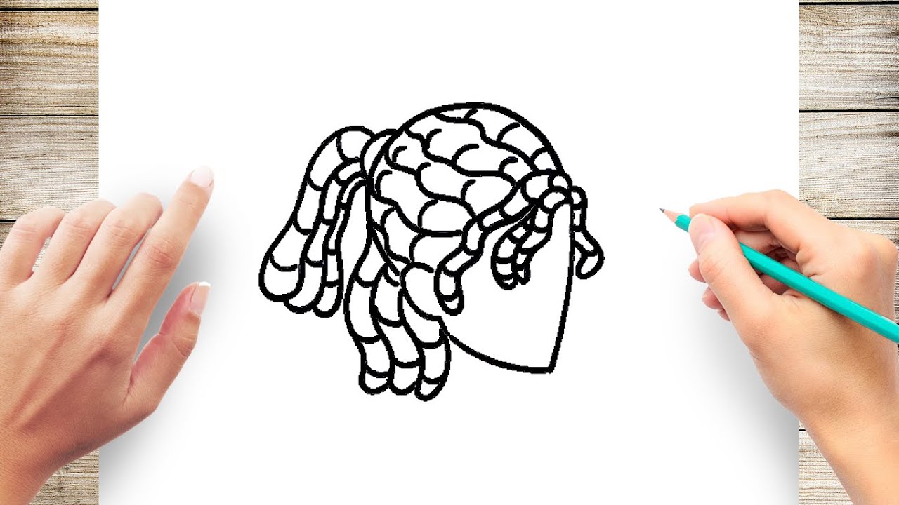 How to Draw Dreadlocks Step by Step