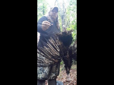 Gods Country Gobblers