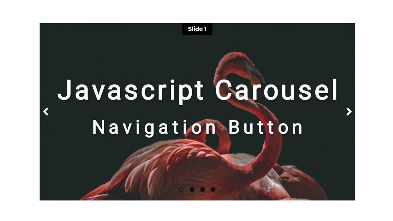 How to make carousel using html css and javascript | navigation button | imakedesigneasy