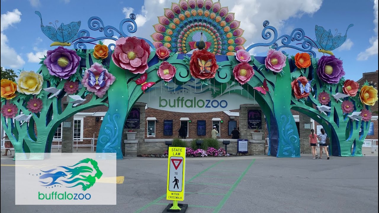 Buffalo Zoo | Walkthrough Zoo Trip | Buffalo, NY