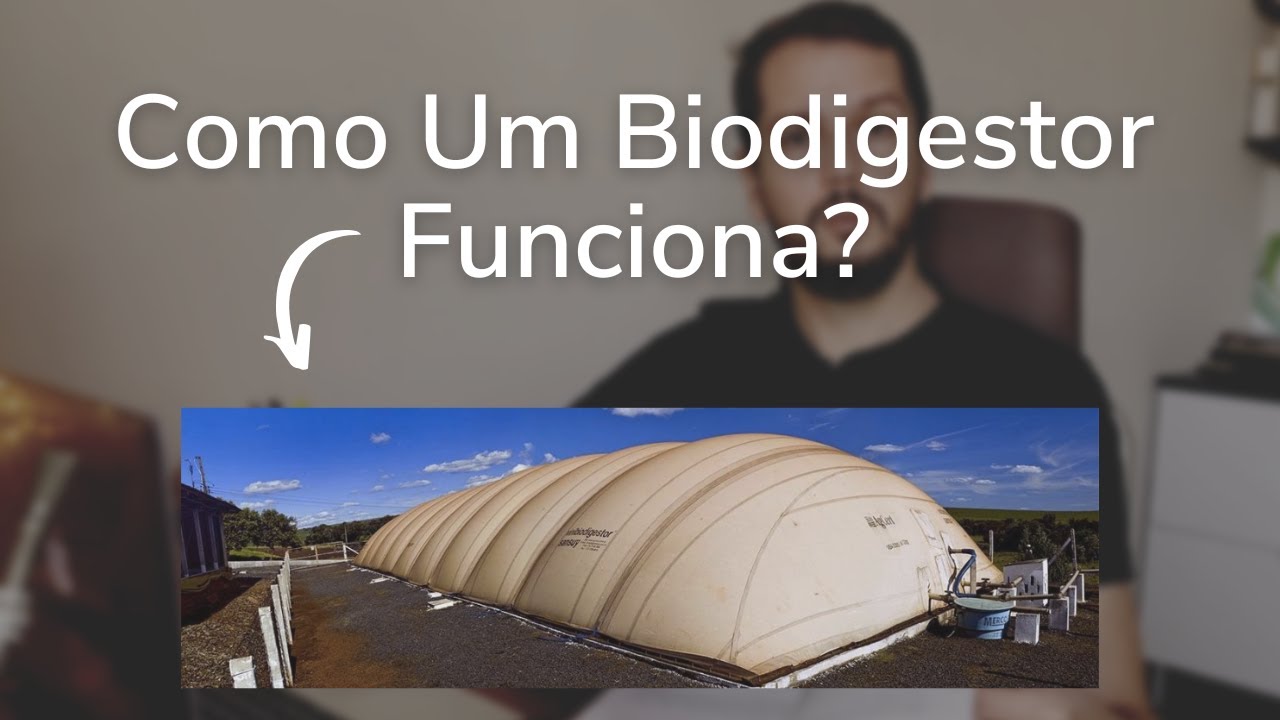 Como Um Biodigestor Funciona?