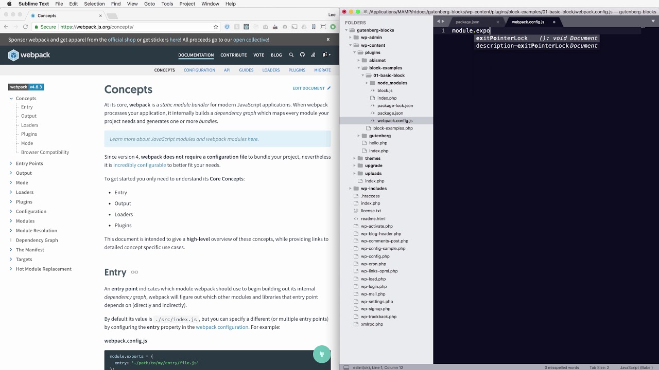 Lesson 12: Setting Up Webpack for Gutenberg Blocks