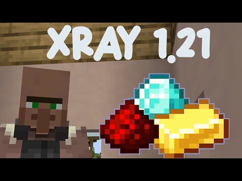 How to get X-Ray in Minecraft | 1.21/1.21.1 |
