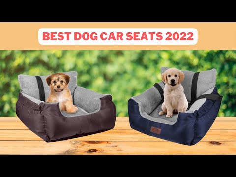 Top 5 Best Dog Car Seats | Dog Car Seats Reviews 2022