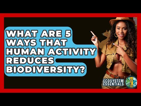 What Are 5 Ways That Human Activity Reduces Biodiversity? - Ecosystem Essentials