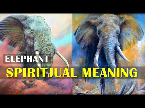 Spiritual Meaning And Symbolism of Elephant Spirit Animal | Elephant Spirit Totem