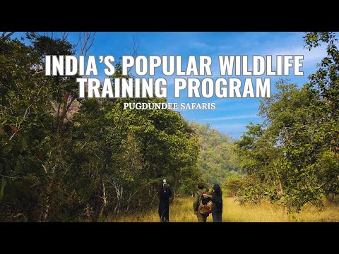 Wildlife Course in India | India's popular Wildlife Training Programme