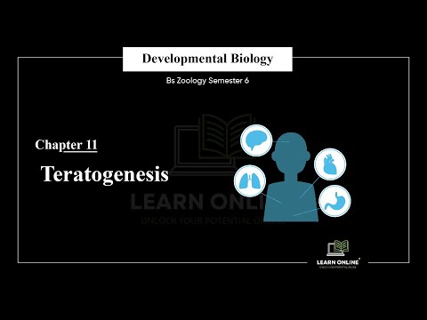 Tetarogenesis & It's Types | Teratogens | Common Teratogens | Mechanism of Teratogenesis