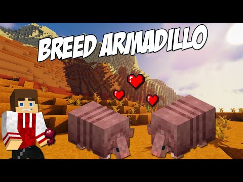 How to Breed Armadillos in Minecraft