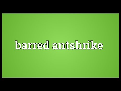 Barred antshrike Meaning