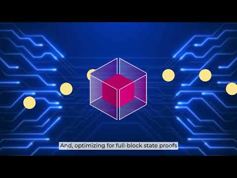 What Is NOMT? Exploring The High Throughput State Database To Scale Blockchains | The Brains Ep.52