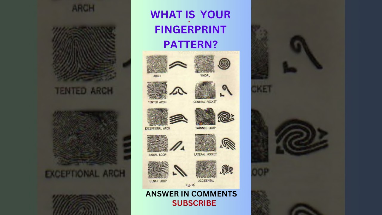 WHAT IS  YOUR FINGERPRINT PATTERN? DISCOVER YOUR FINGERPRINTS #find #riddle #shorts