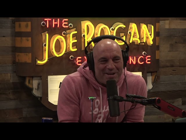 Joe Rogan: "I'm a big supporter" - When Mike Tyson made his feelings ...