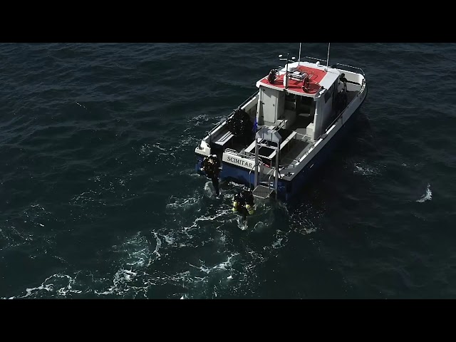 Scimitar Diving