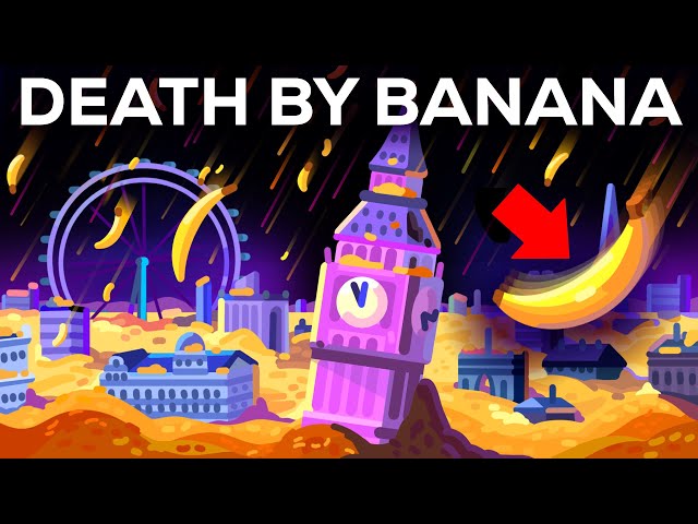 What If It Rains Bananas For A Day? Exploring the Science Behind Absurd ...