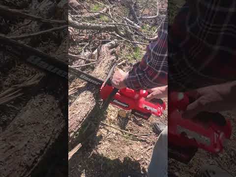Bauer 20v chainsaw
