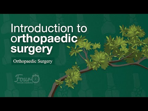 The Fascinating Roots of Orthopaedics and the Basics You Need to Know