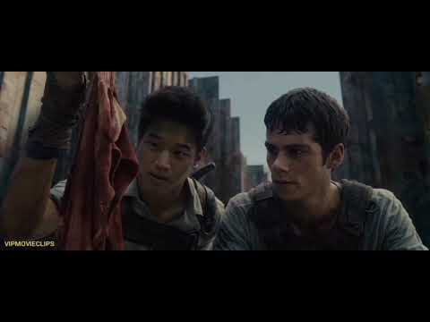 Minho explains to Thomas about Maze - The Maze Runner (2014) MOVIECLIP | Dylan O'Brien