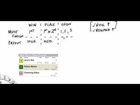 How to Bet Horses - Win, Place, Show Basics