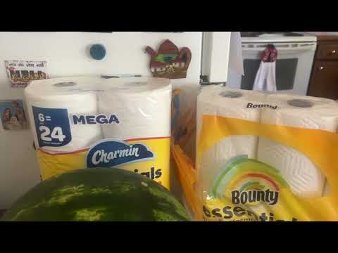 Food Lion Grocery Haul! Shopping For Sale Items! Hot Sale!
