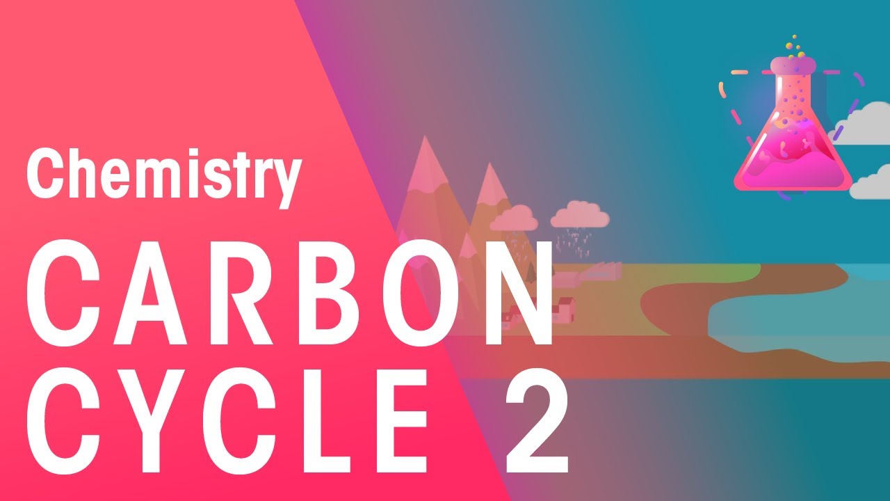 What Is The Carbon Cycle - Part 2 | Environmental Chemistry | Chemistry | FuseSchool