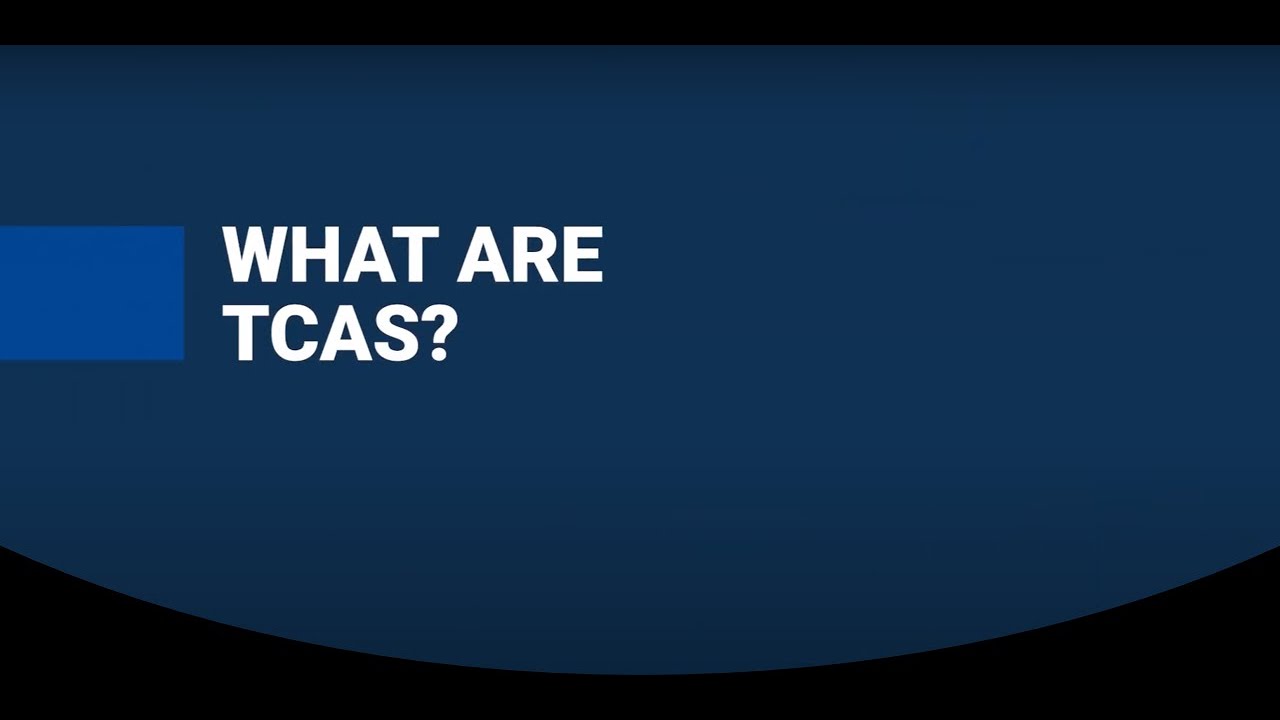 What Are Erasmus+ TCAs? An Introduction to Training and Cooperation Activities