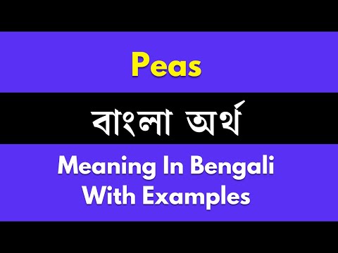Peas Meaning In Bengali/Peas শব্দের বাংলা ভাষায় অর্থ অথবা মানে কি