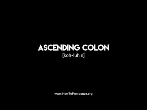 How to Pronounce "ascending colon"