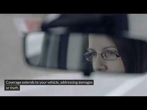 Why Auto Insurance Is Important | Next Level Insurance