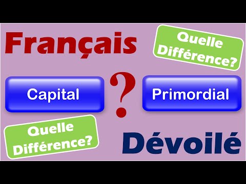 Capital et Primordial (Quelle Diff.)
