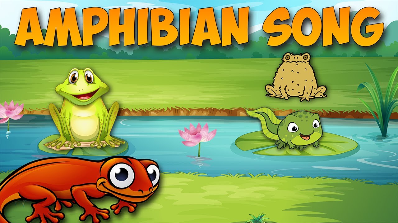 The Amphibian Song
