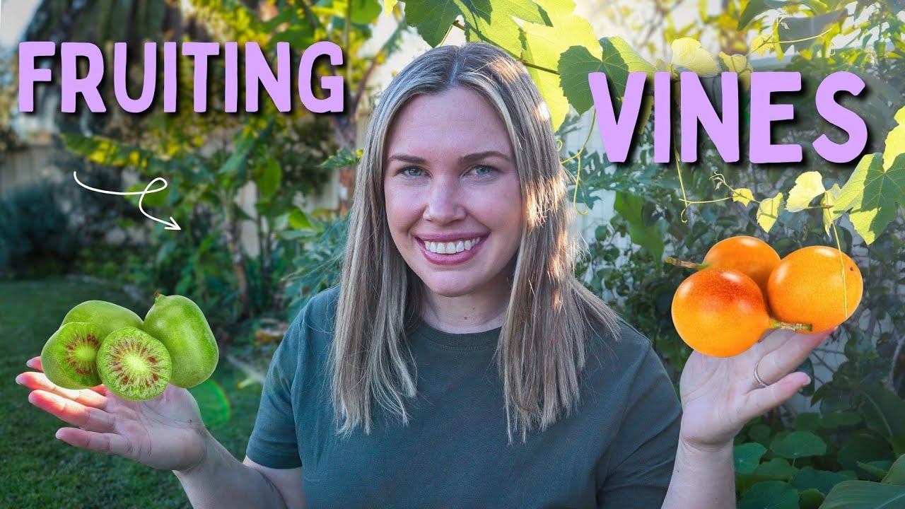 17 Climbing Fruits That Grow on Vines 🌿 tips to grow more vertical fruit!