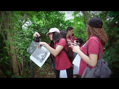 Smithsonian Science for Global Goals Project help bring social science topics to the classroom