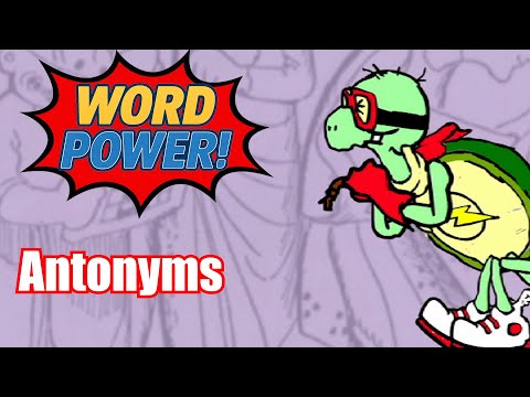 Word Power: ANTONYMS
