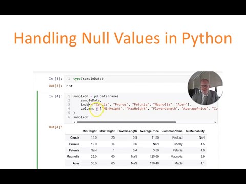 Learning Python: Handling Empty Values, None, pd.NaN