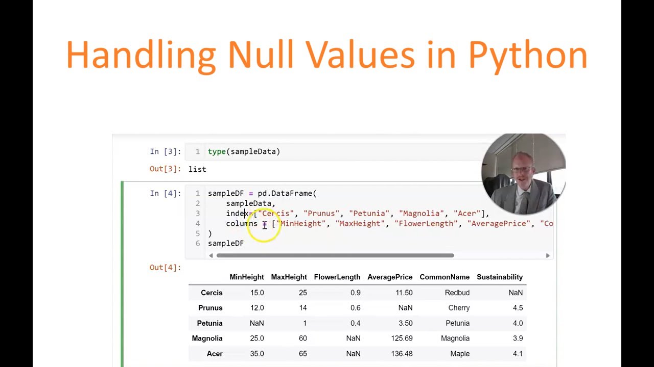 Learning Python: Handling Empty Values, None, pd.NaN