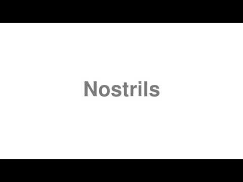 How to Pronounce "Nostrils"