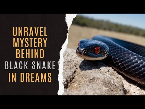 🐍Black Snake Dream Symbolism | Black Snake Dream Dictionary | Dream Of Black Snake