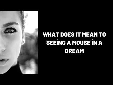 What Does It Mean To Seeing a Mouse in a Dream?