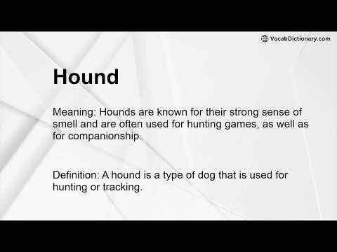 Hound Meaning