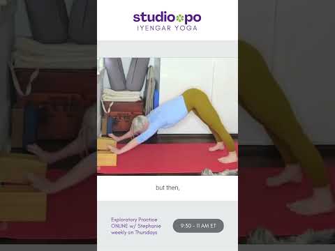 One of my Favourite Downward Dog Variations