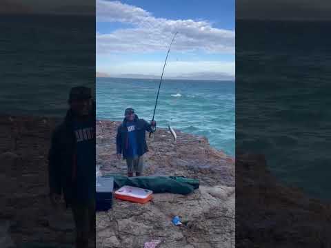 Fishing in Sanford tas