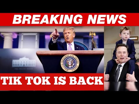 TikTok returns on Apple, Google app stores