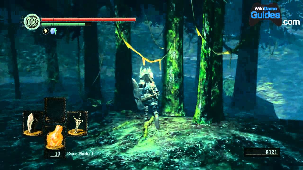 Dark Souls Walkthrough - Dark Souls Guide - Darkroot Garden: Easy Soul Farming (7000 Souls in less than 2 minutes)