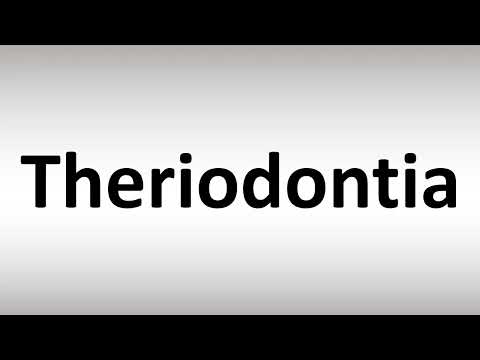 How to Pronounce Theriodontia